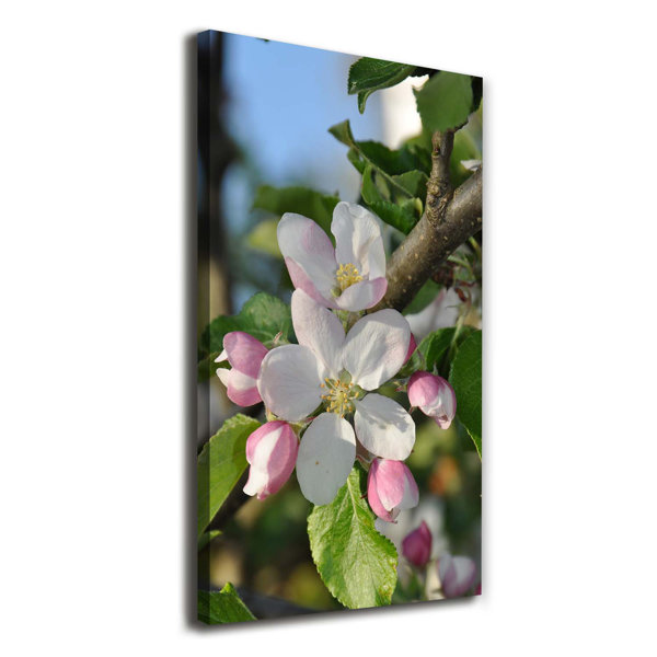 Brayden Studio Kirschblüten - Kunstdrucke auf Leinwand - Wrapped Canvas | Wayfair.de